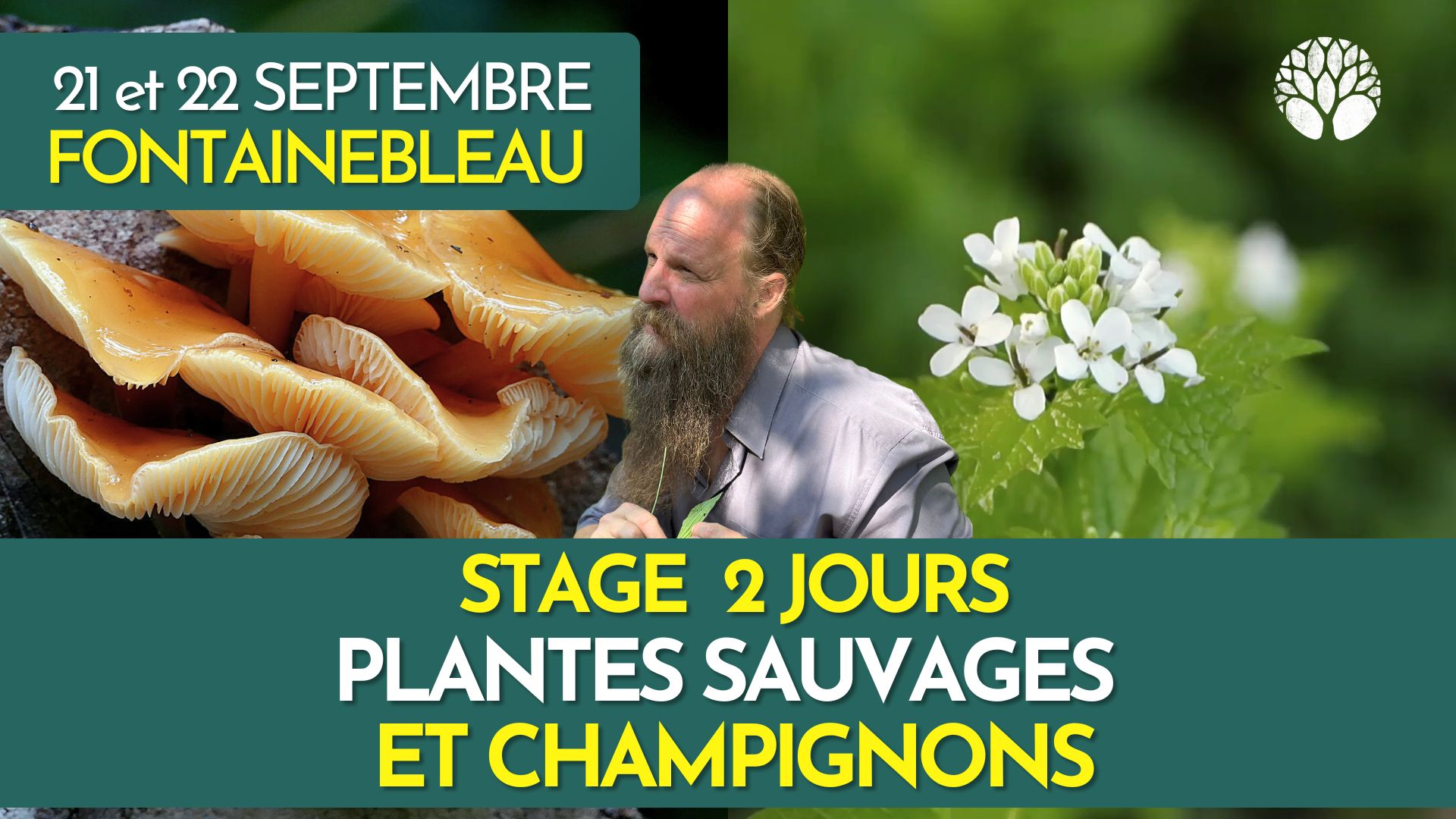 Formations et Stages sur les Champignons, Plantes sauvages et Arbres ...